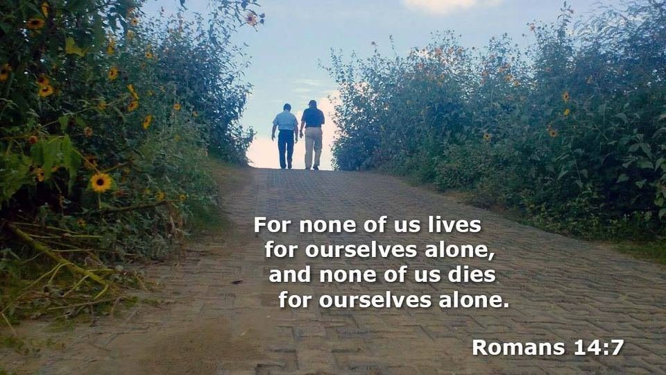 No Man is an Island – Dead Man Walking